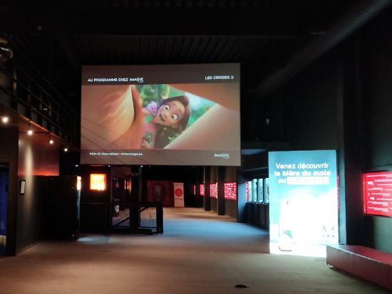 Zebrix case study Imagix